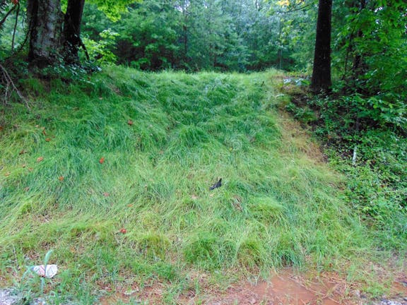 Waterfall of Grass stock image. Image of waterfall, waves - 95994543