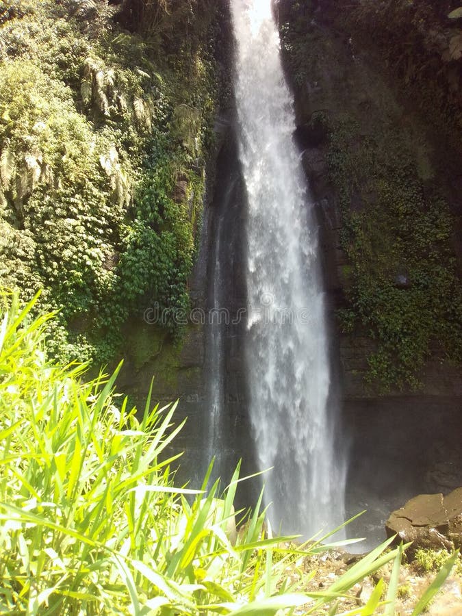 Waterfall with grass stock photo. Image of rock, refreshing - 2402256