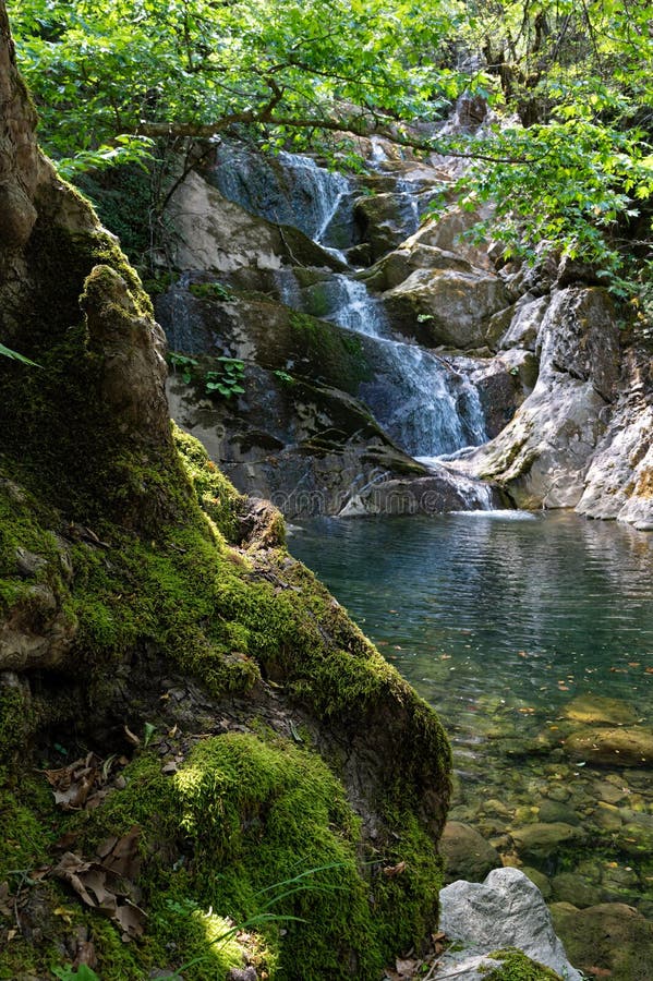 Rema Marks Stock Photos - Free & Royalty-Free Stock Photos from Dreamstime