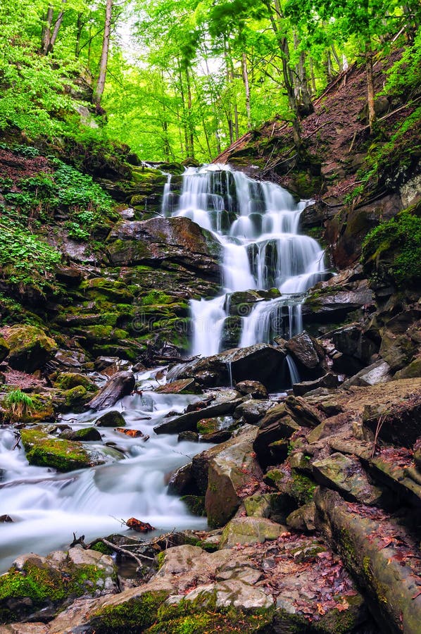 Waterfall in the Green Forest Stock Image - Image of grass, color ...