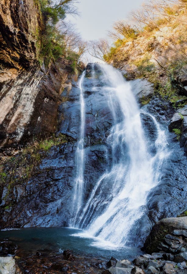 Waterfall in Green Forest. Mountain Cascade River Splashing on Rock Stones Stock Photo - Image ...