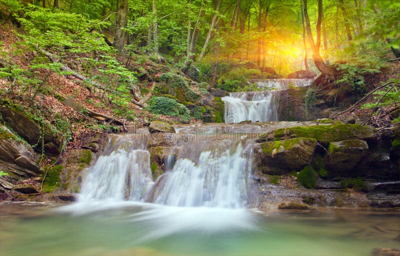 Waterfall in green forest stock image. Image of nature - 45921131