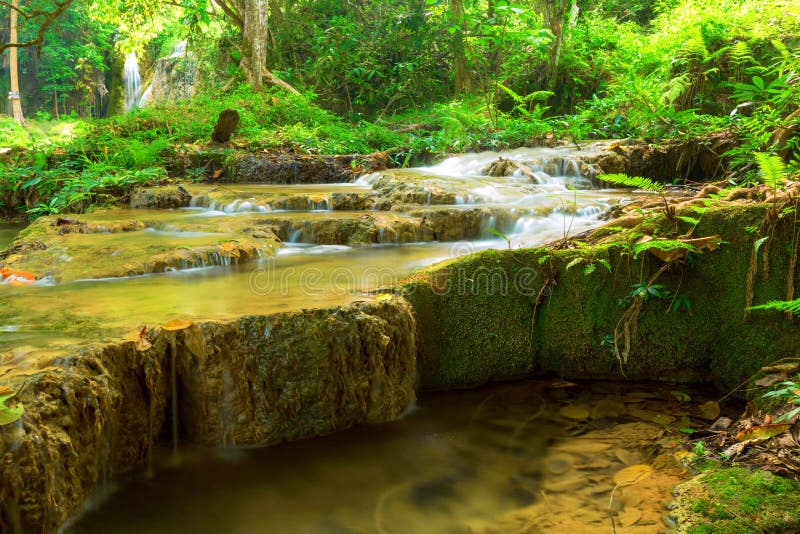 Waterfall in green forest stock photo. Image of jungle - 31162522