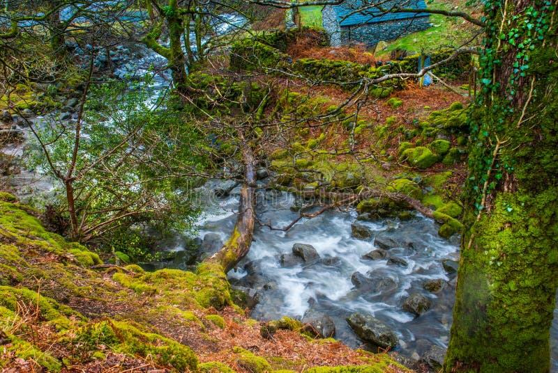 Waterfall Green Forest River Stream Landscape Stock Image - Image of ...