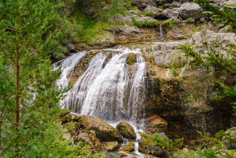 Waterfall in the Green Forest with Rocks and Pine Trees Framing the ...