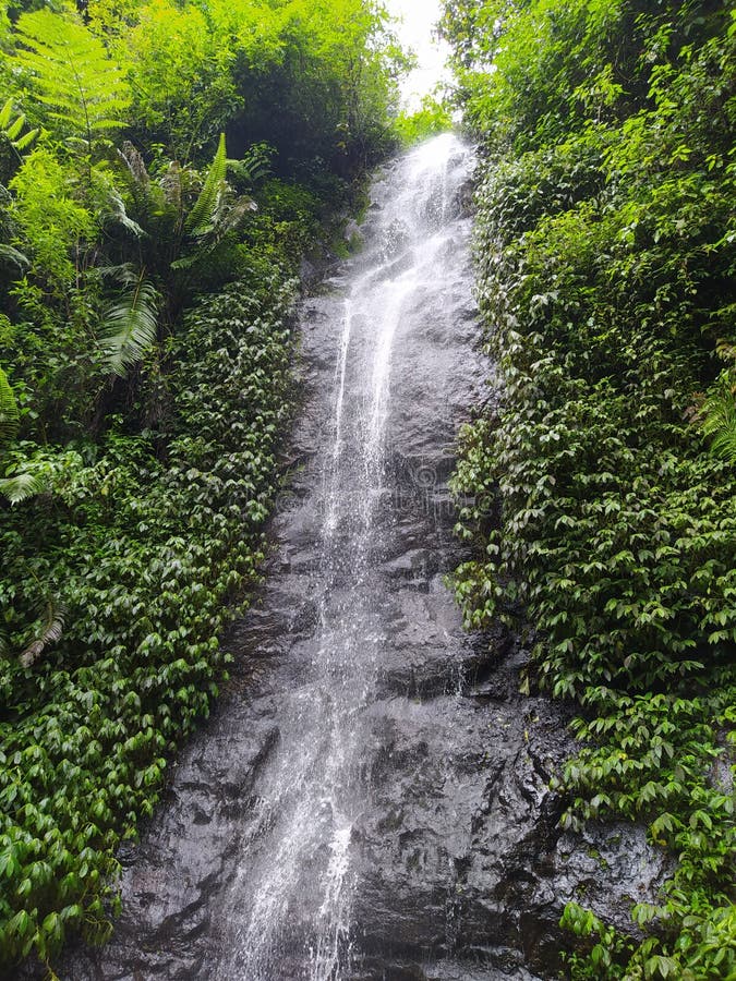Waterfall Green Forest Wonderfull Stock Photo - Image of forest, green ...
