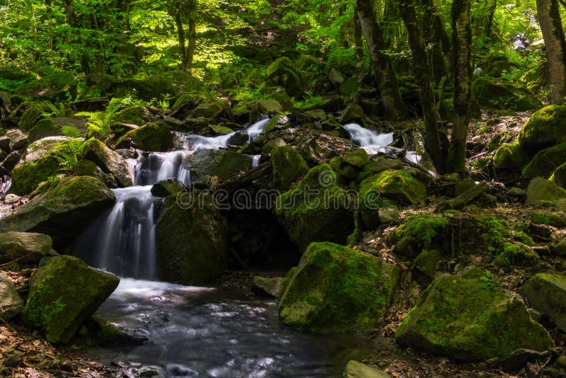 Waterfall in the Green Mossy Jungle Stock Image - Image of landscape ...