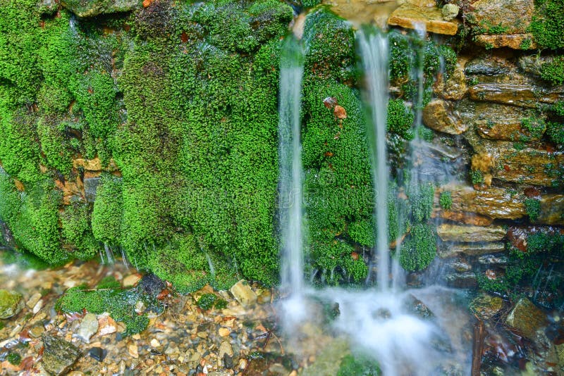 Waterfall with Green Rock Moss Stock Photo - Image of park, beautiful ...
