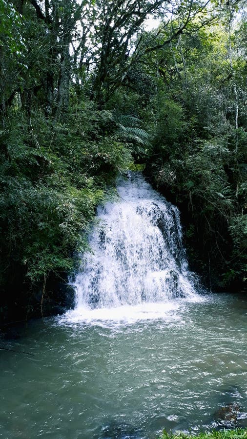 Big Waterfall in the Green Tropical Forest, White Water String Stock ...