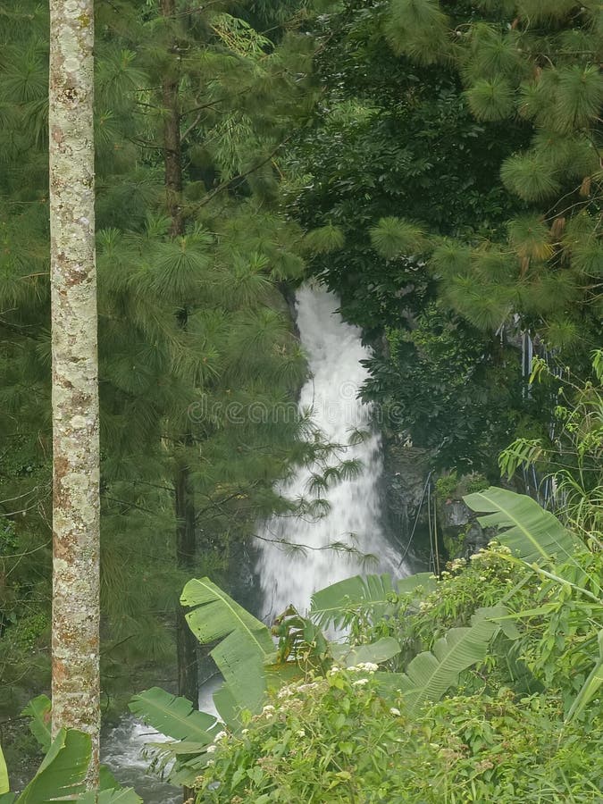 Waterfall among Green Trees in a Rural Area Stock Photo - Image of ...