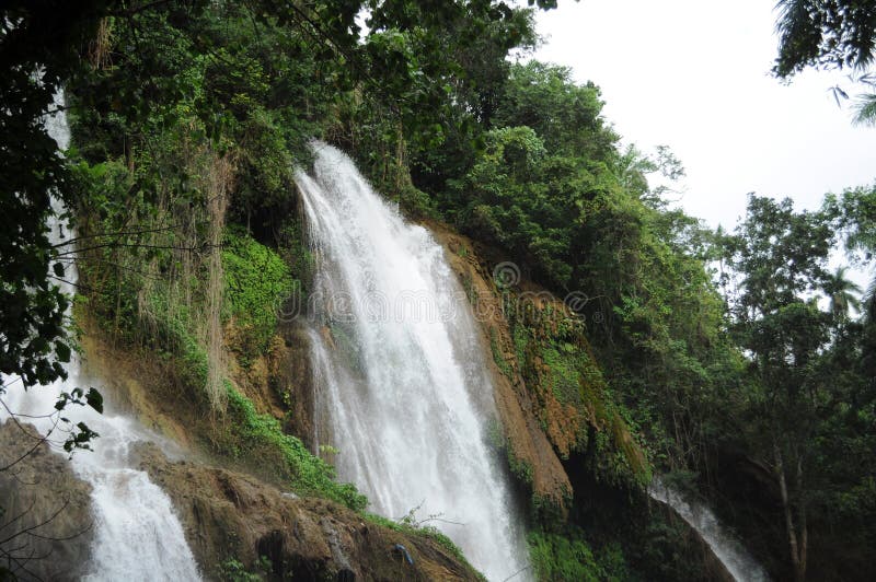Waterfall with green trees stock photo. Image of watercourse - 272163152