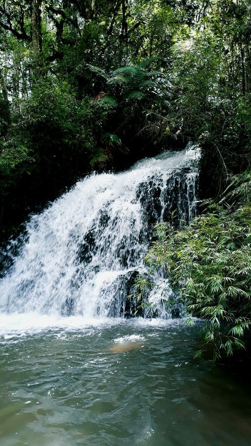 Waterfall green stock photo. Image of sustainability - 120446100