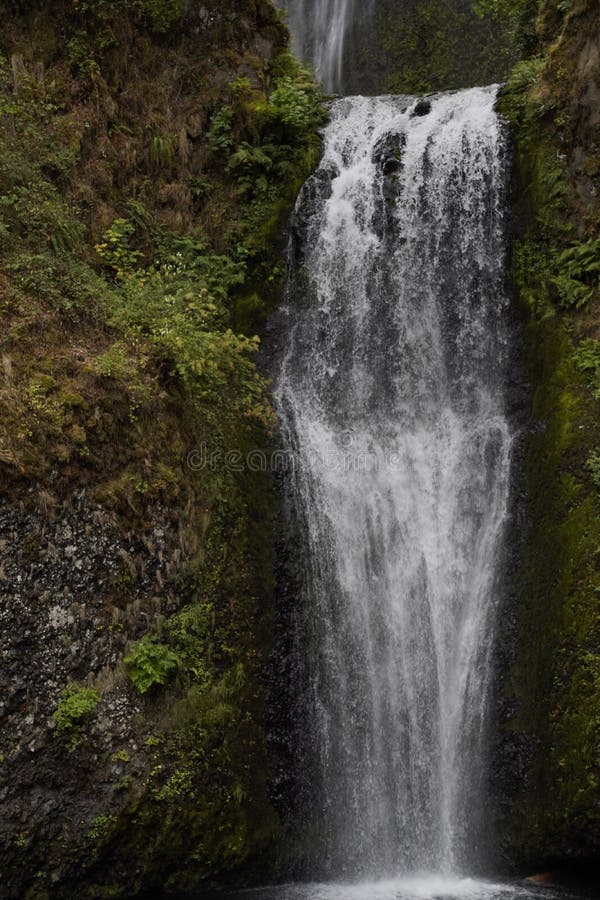 Medium shot of a waterfall stock photo. Image of forest - 208089302