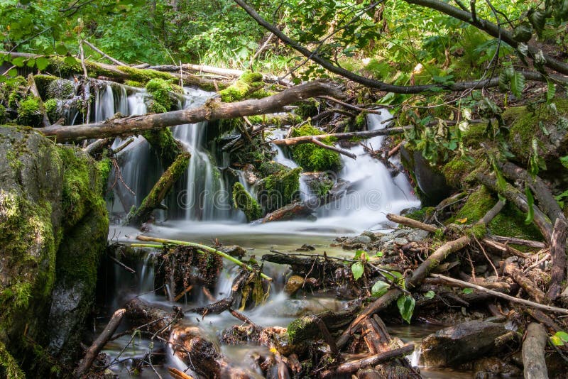 Waterfall between the Greenery and Trees Stumps Stock Image - Image of ...