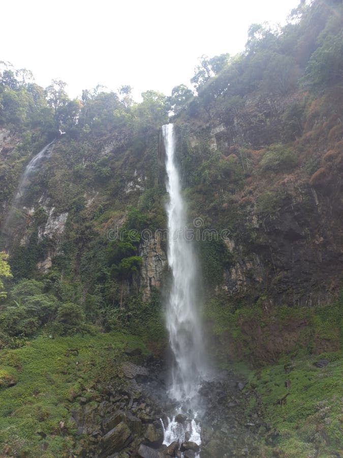 Waterfall Hill Side, Mountain Waterfall, Water Drop, Green Tree Stock ...
