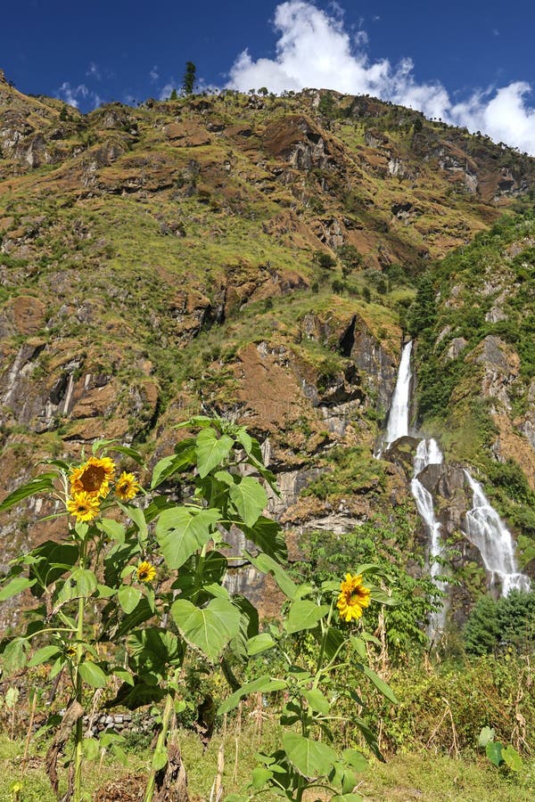 Waterfall in Himalayas stock image. Image of idyllic - 59603455