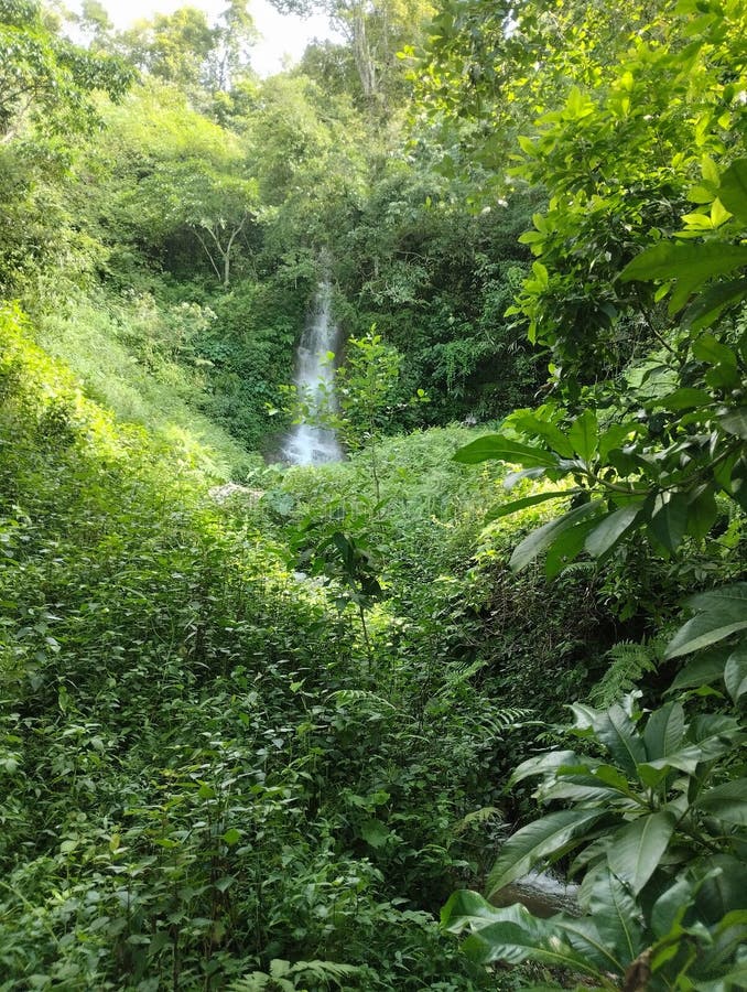Waterfall, I Love Nature and Natural Environment. Stock Image - Image of love, environment ...
