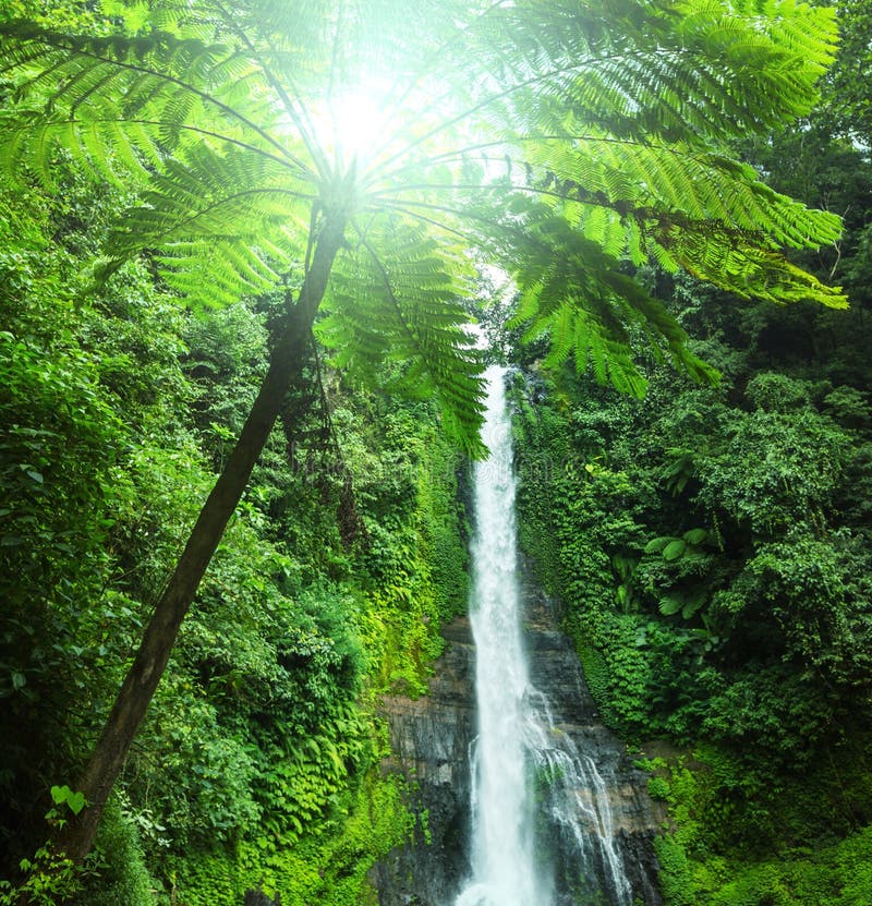 Waterfall in Indonesia stock image. Image of rainforest - 54192599