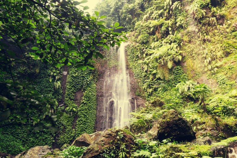 Waterfall in Indonesia stock photo. Image of jungle, landmark - 54768322