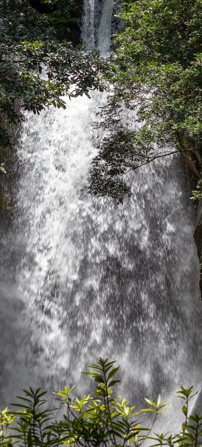 Waterfall Inside the Mountains of Panama Stock Photo - Image of hiking ...