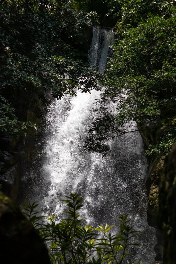 Waterfall Inside the Mountains of Panama Stock Image - Image of inside ...