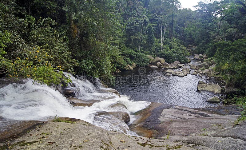 Waterfall, Interior of Paraty, Brazil Stock Photo - Image of outdoor ...