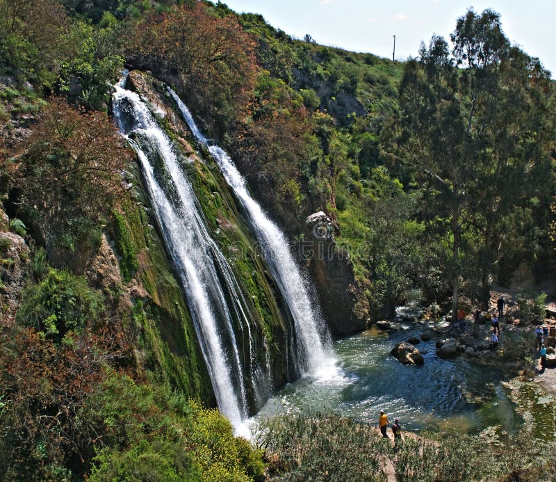Israel nature stock photo. Image of river, eucalyptus - 16540906