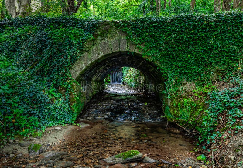 Waterfall View through an Ivy-Covered Tunnel Under a Bridge Stock Image ...