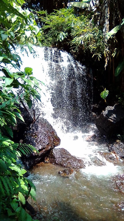 Waterfall in jember stock photo. Image of water, ledokombo - 277951702