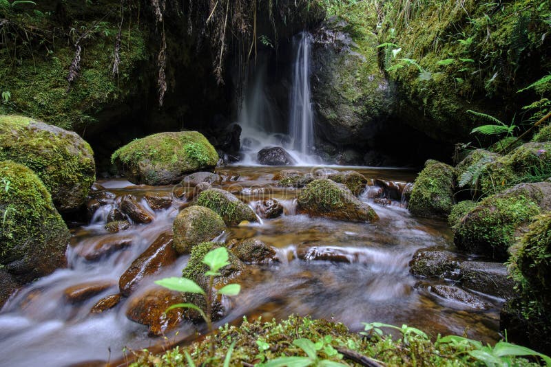 Waterfall in jungle stock image. Image of natural, silk - 268357799