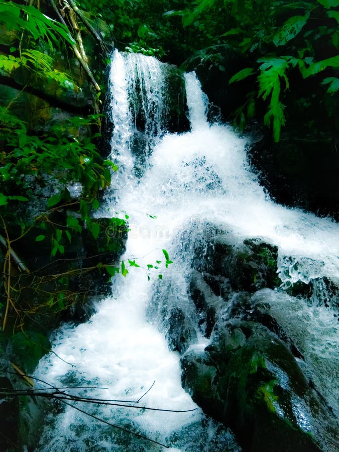 Waterfall in the Jungle of Borneo. Stock Image - Image of waterfall ...