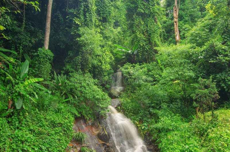 Waterfall in Jungle at Chiang Rai, Thailand. Stock Image - Image of ...