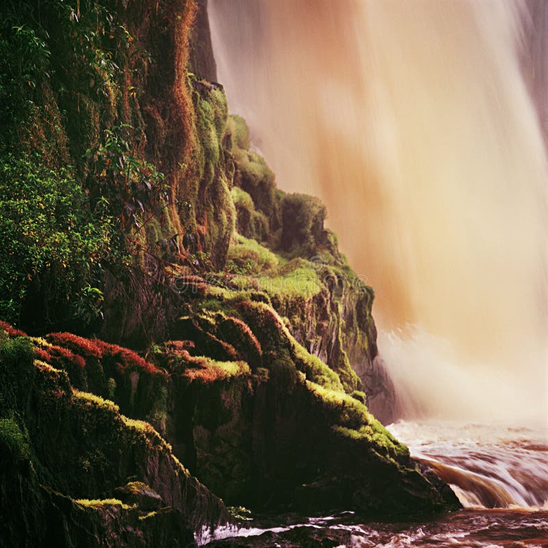 Sunset at Ogowe River, Gabon Stock Photo - Image of africa, nonurban ...