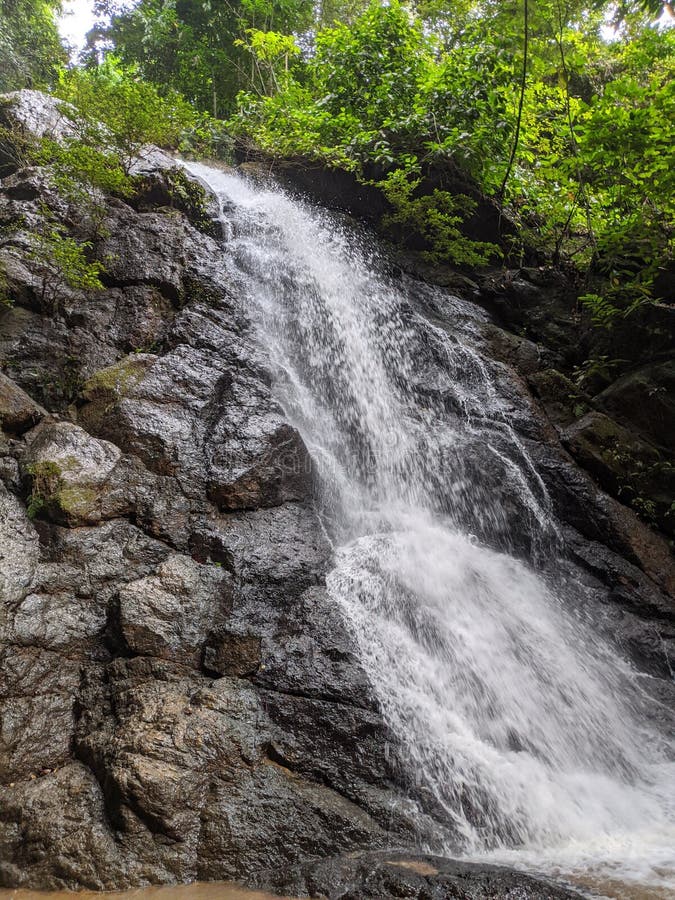 Waterfall in the Jungle of Kalimantan Stock Image - Image of stream ...