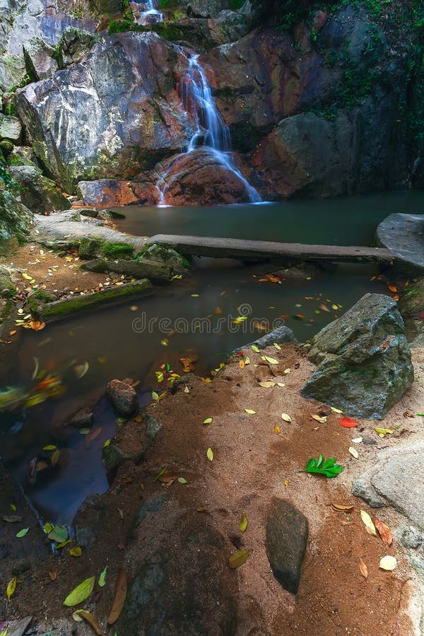 Waterfall, jungle, rock stock image. Image of flowing - 71904983