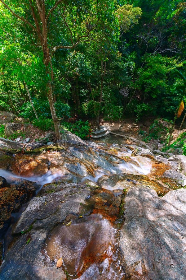 Waterfall, jungle, rock stock photo. Image of national - 71910022