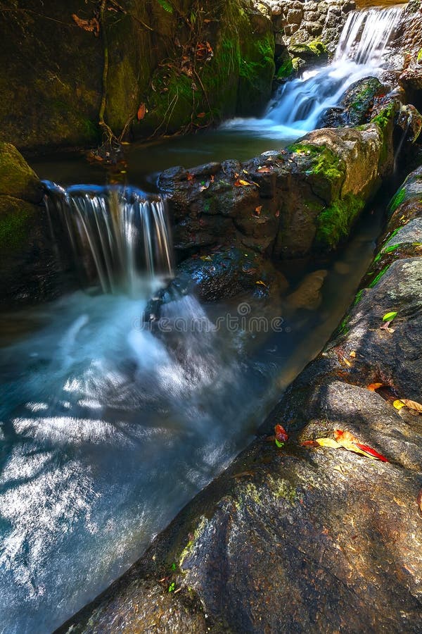 Waterfall, Jungle, Rocks and Stones Stock Image - Image of peaceful ...