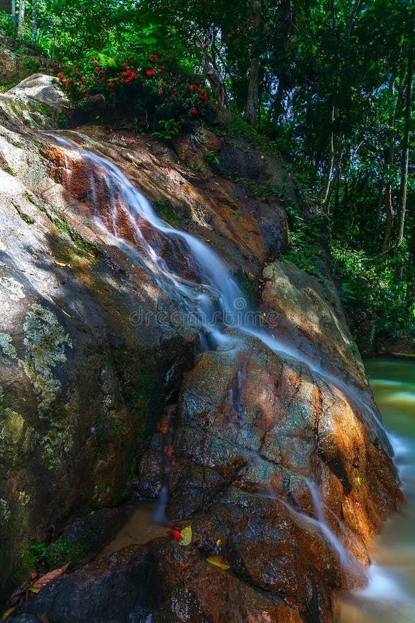Waterfall, Jungle, Rocks and Stones Stock Image - Image of mountain ...