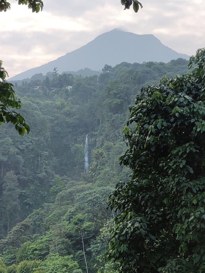 Waterfall in the Jungle of Slope of Salak Mount Stock Photo - Image of ...