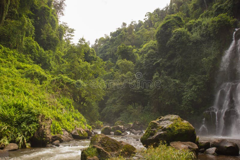 Waterfall in a Jungle in Tanzania, Africa Stock Photo - Image of target ...