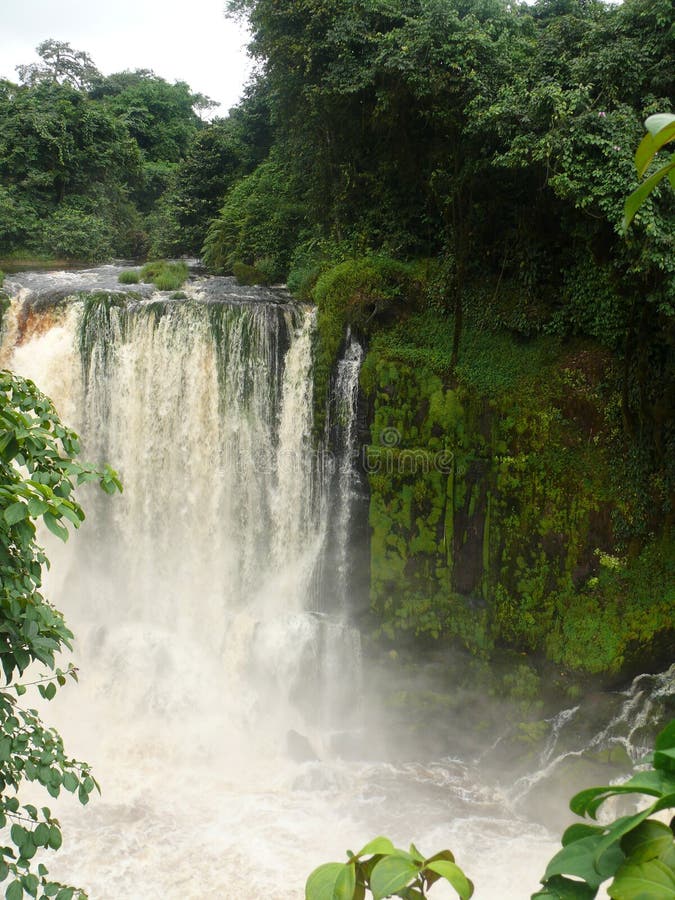 Waterfall stock image. Image of grass, forest, tree, gabon - 73941909