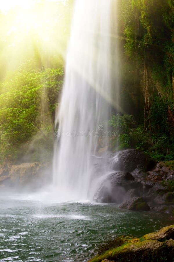 Waterfall in Jungles with Sun Stock Photo - Image of tranquil, stream ...