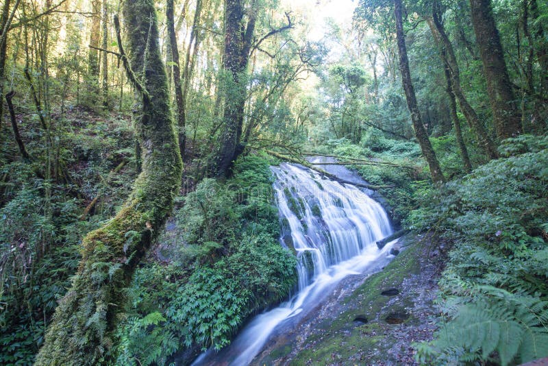 Waterfall at Kew-Mae-Pan, Thailand Stock Image - Image of thailand ...