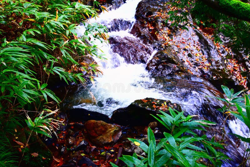 Waterfall in Kyoto Mountain. Stock Photo - Image of green, waterfall ...