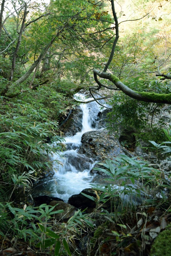 Waterfall in Kyoto Mountain. Stock Photo - Image of japan, green: 103664470