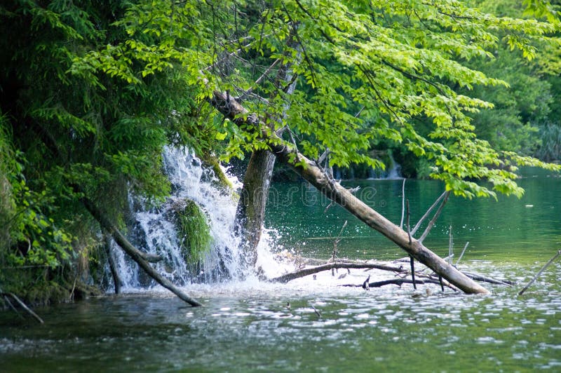 Waterfall and lake stock image. Image of creek, nature - 21369693