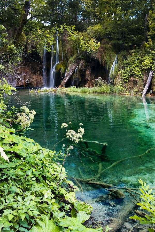 Waterfall and lake stock image. Image of greenery, transparent - 4684875