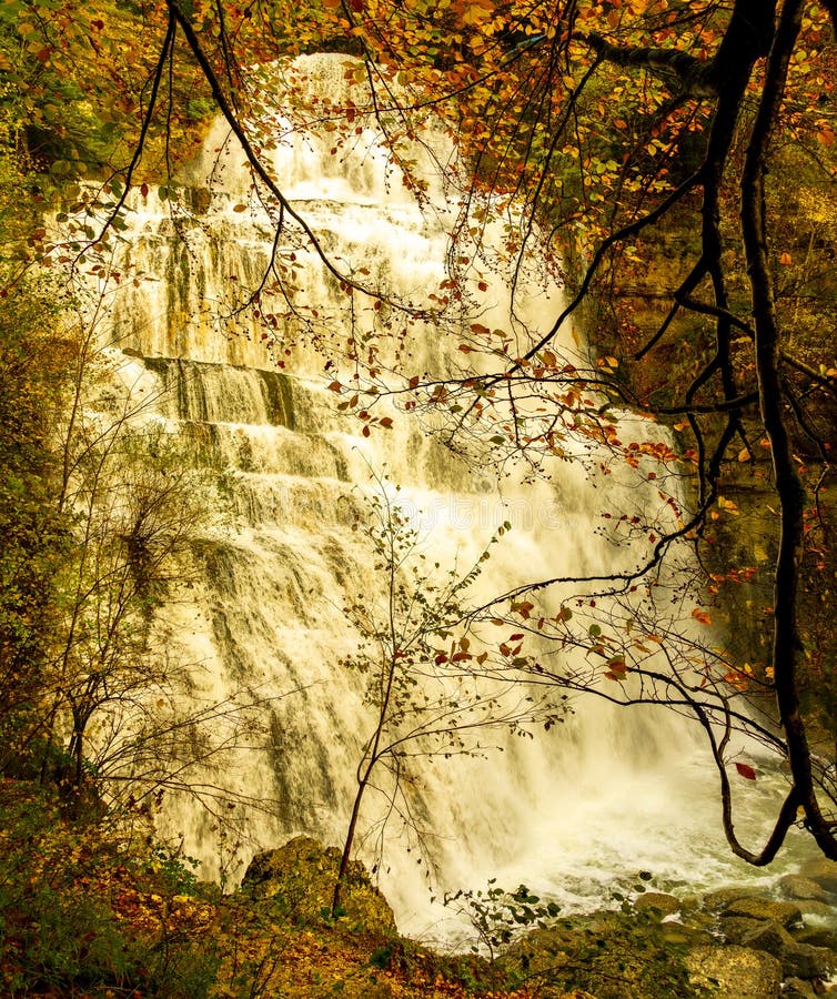 A Waterfall with Leaves on the Trees Stock Image - Image of fresh ...