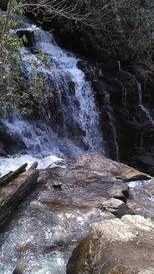 Ledge forest and the sea stock photo. Image of travel - 27733678