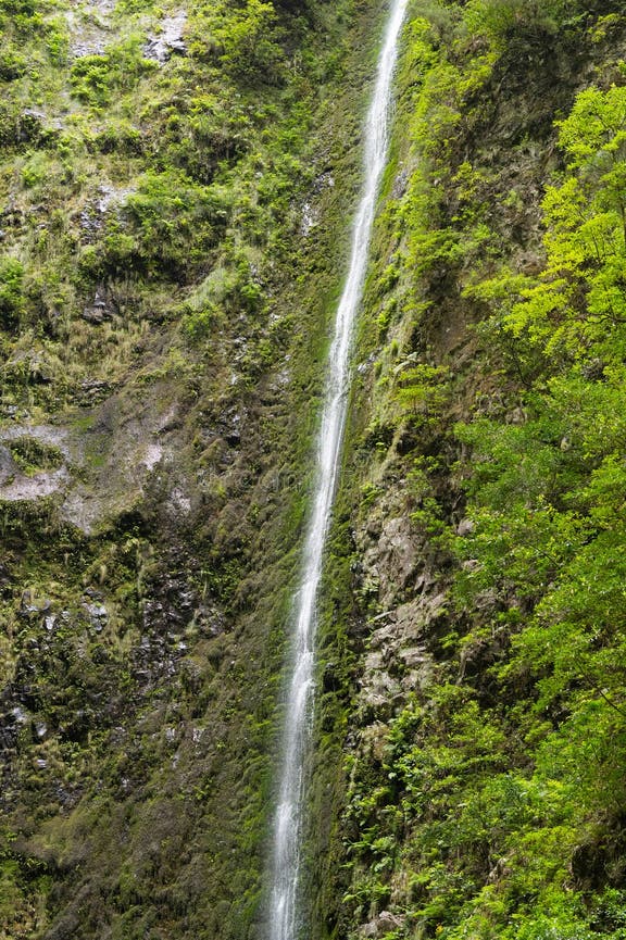 Waterfall in Levada Caldera Verde Stock Image - Image of stream, scenic ...